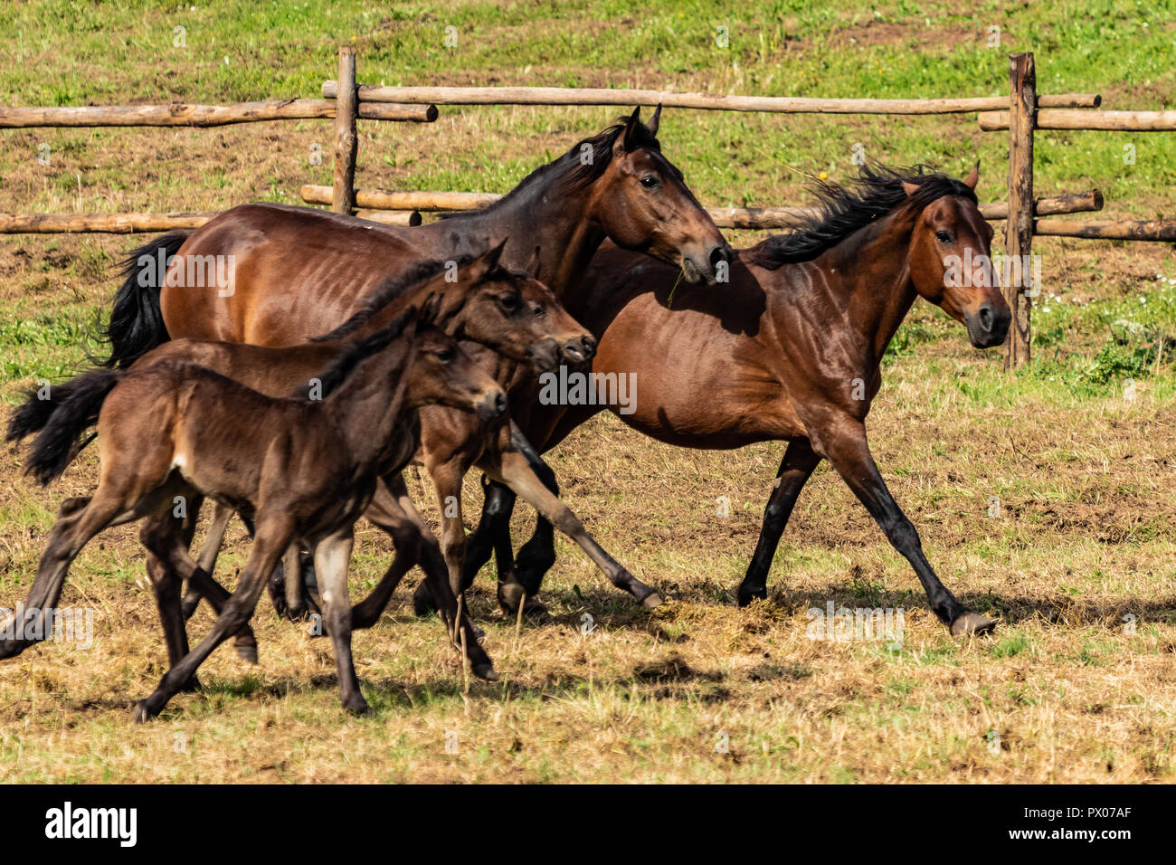 American ranch hi-res stock photography and images - Alamy