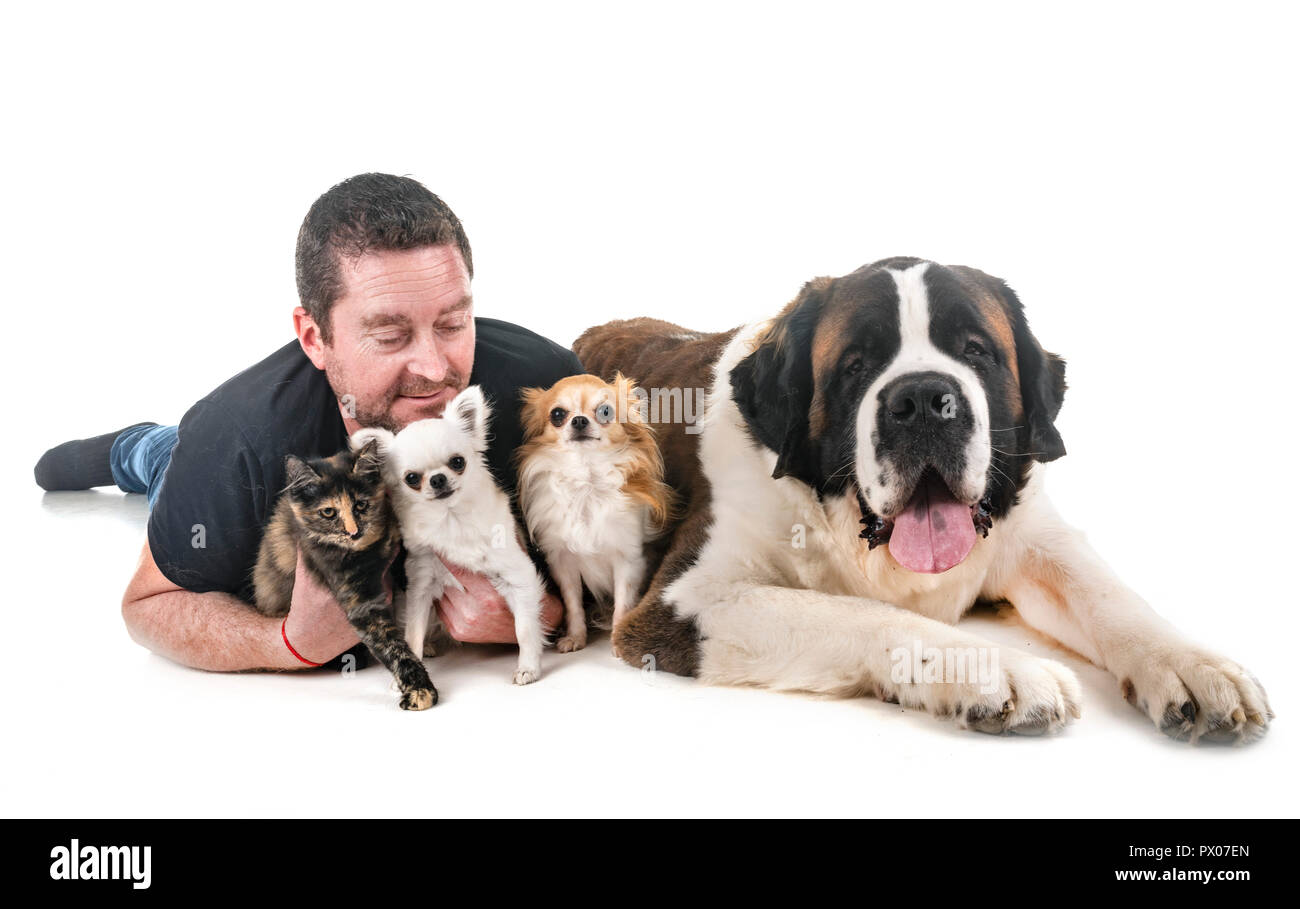 pet and man in front of white background Stock Photo - Alamy