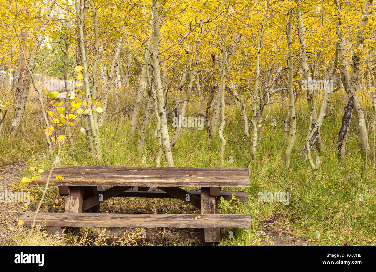 North table loop hi-res stock photography and images - Alamy