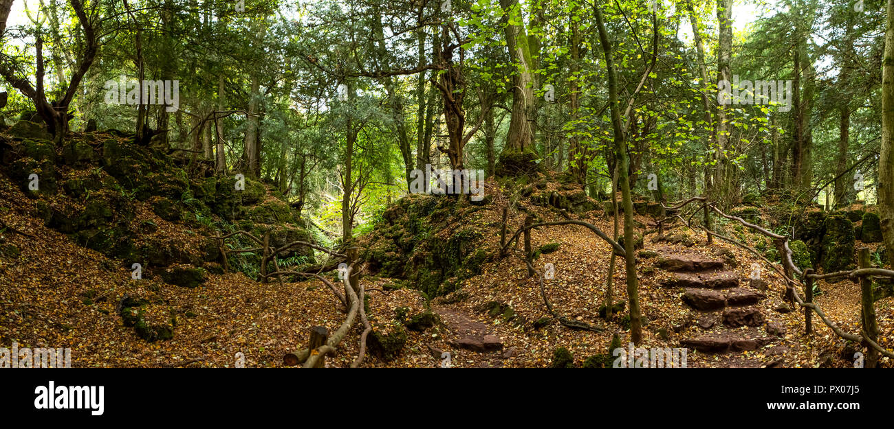 Garden view forest dean stone hi-res stock photography and images - Alamy