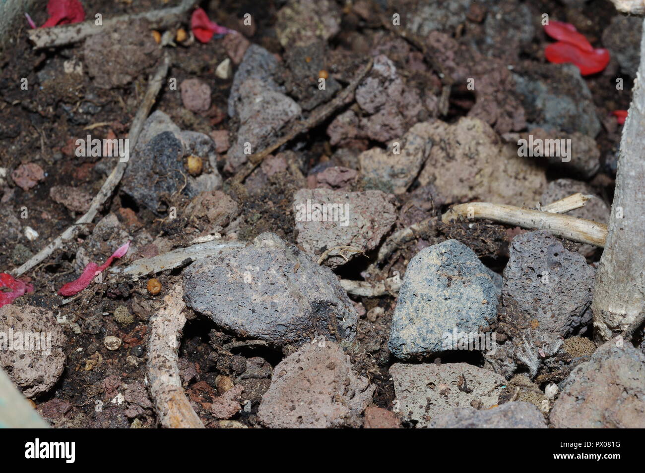 Mafic igneous rock hi-res stock photography and images - Alamy