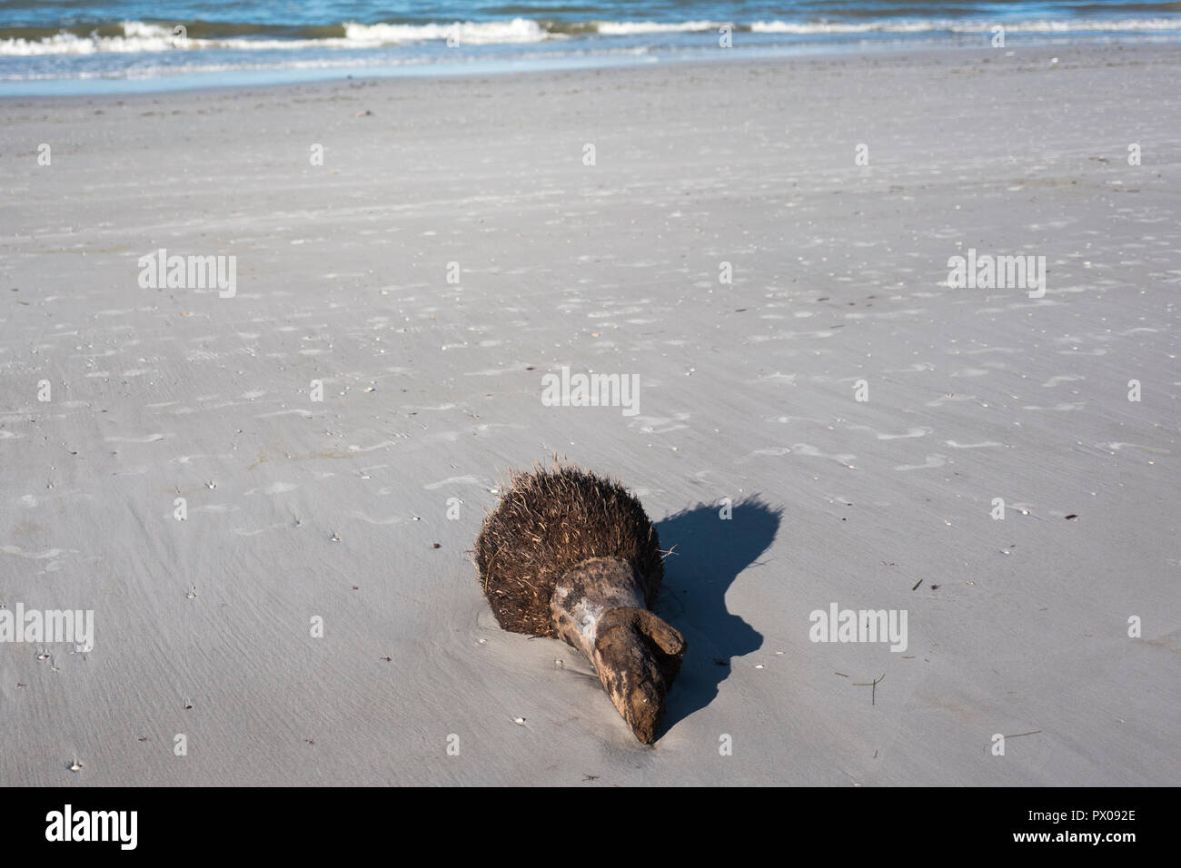 Rough seas from hurricane michael hi-res stock photography and images ...