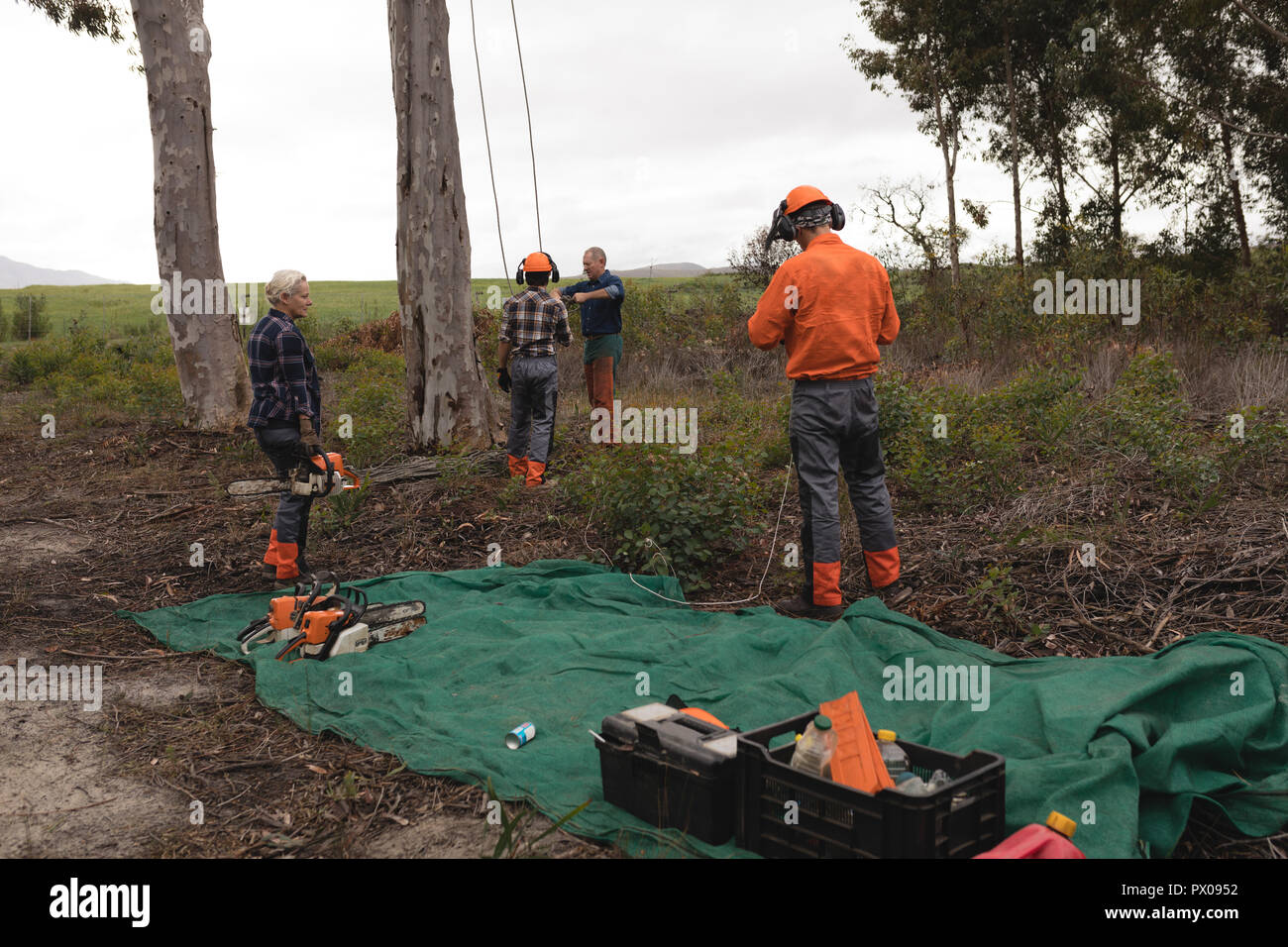 Working forest hi-res stock photography and images - Alamy