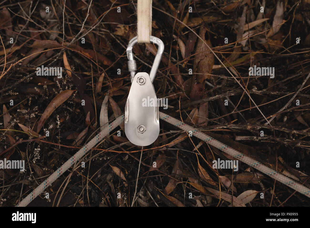 Forest rope hi-res stock photography and images - Alamy