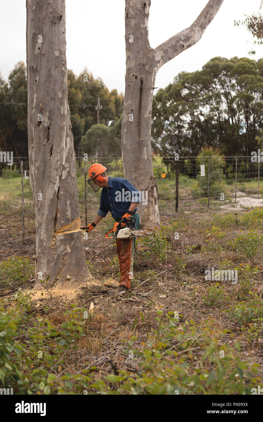 Checking remote hi-res stock photography and images - Alamy
