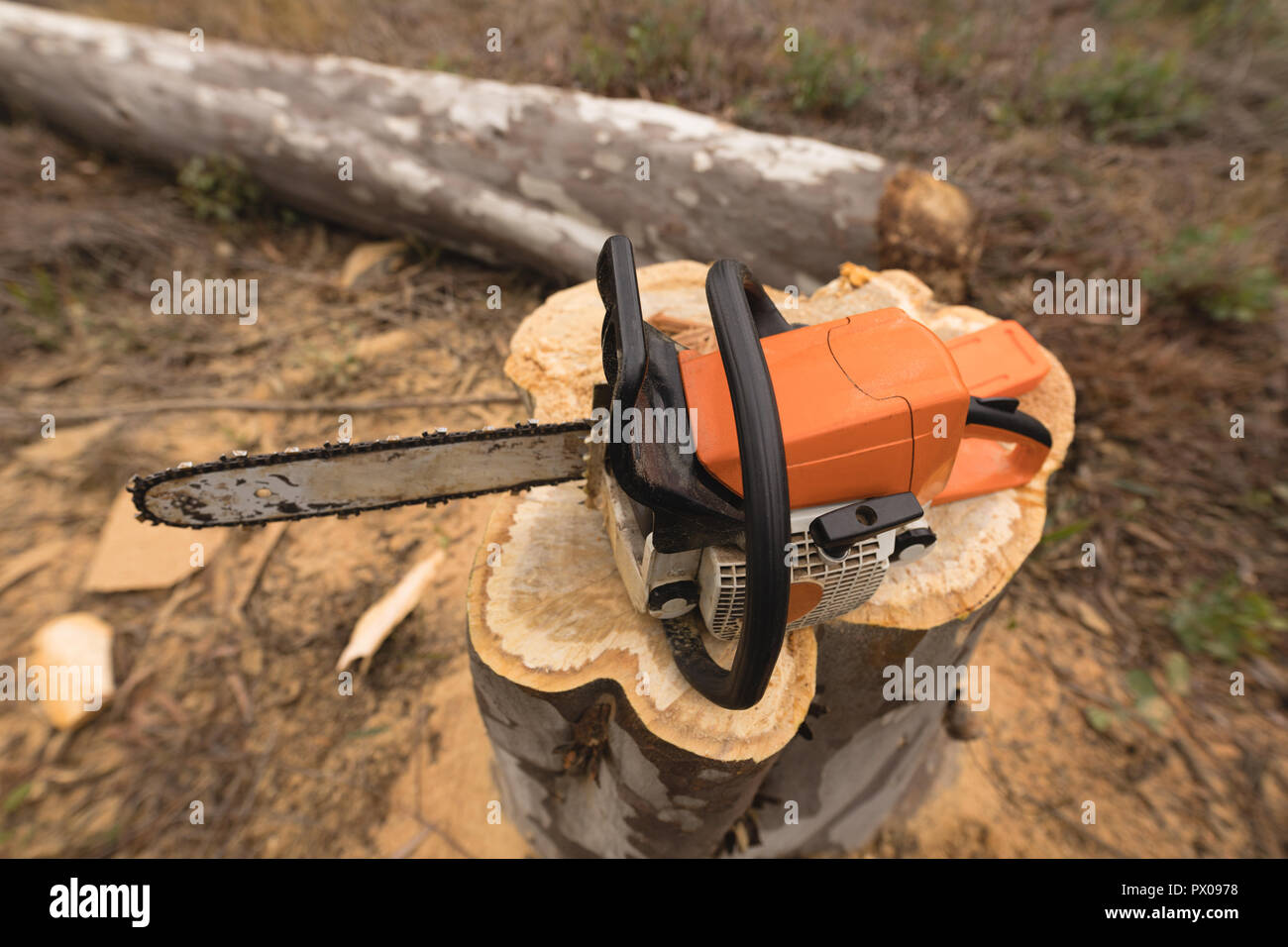 Chainsaw on tree stump in forest Stock Photo - Alamy