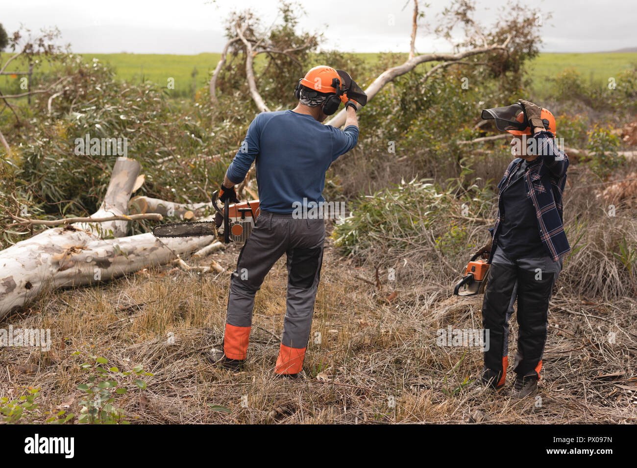 Lumberjacks hi-res stock photography and images - Alamy