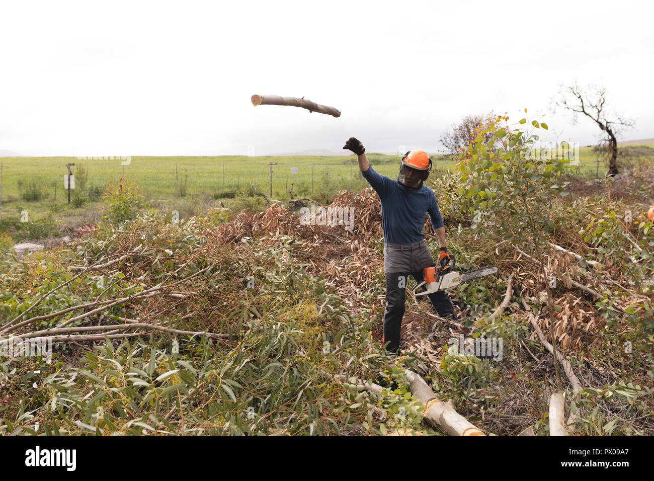 Lumberjack throwing wooden log Stock Photo - Alamy