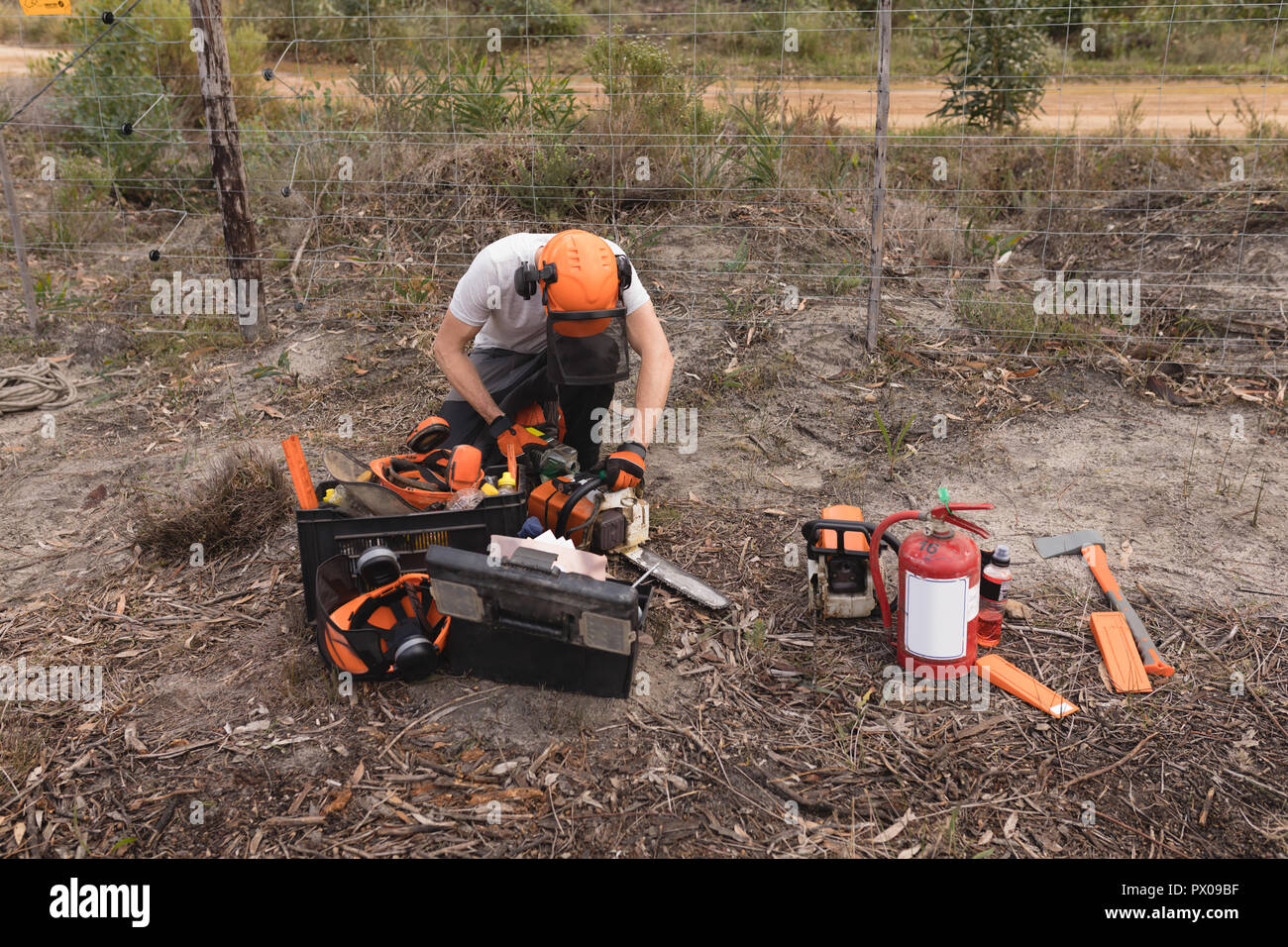 Lumberjack using chainsaw machine Stock Photo - Alamy