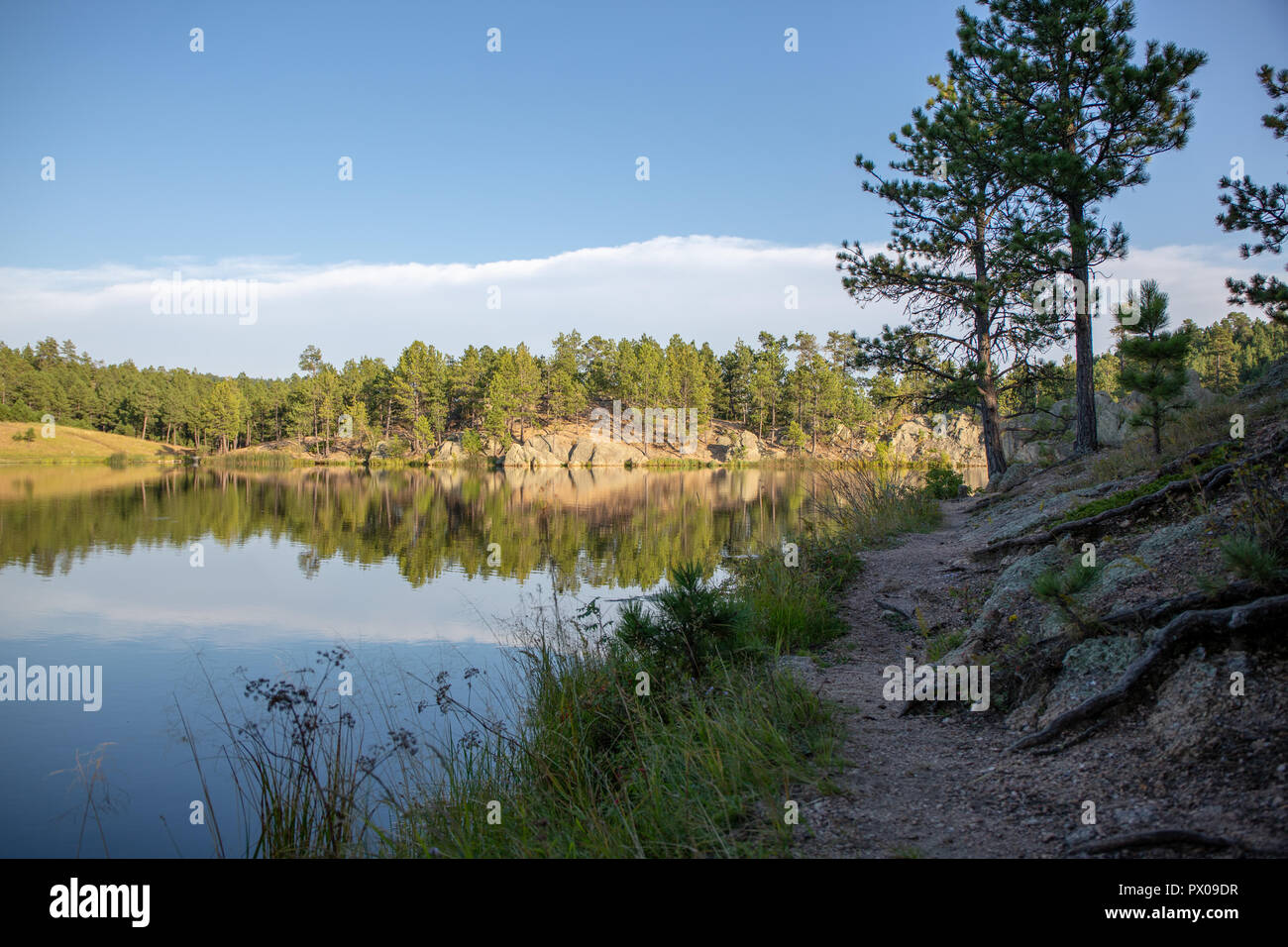 Legion Lake at Custer State Park South Dakota with beautiful ...