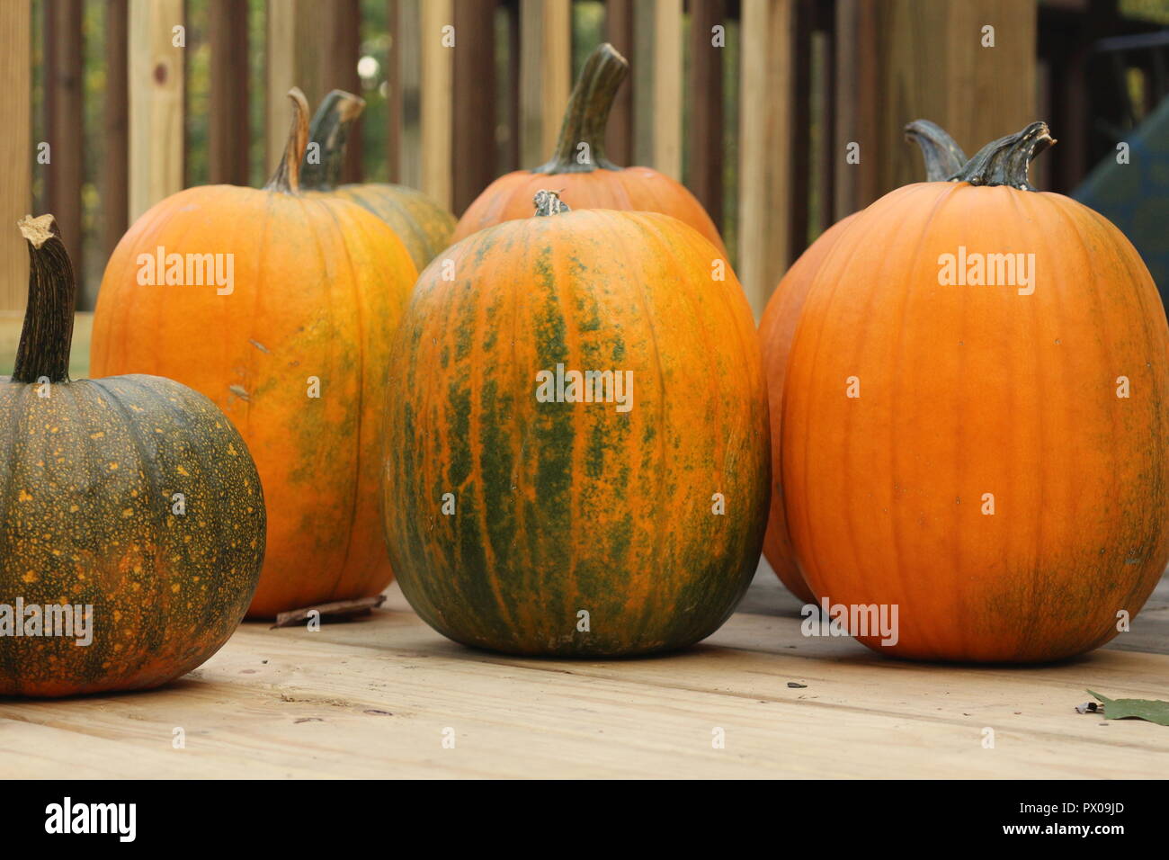 Fall orange pumpkins hi-res stock photography and images - Alamy