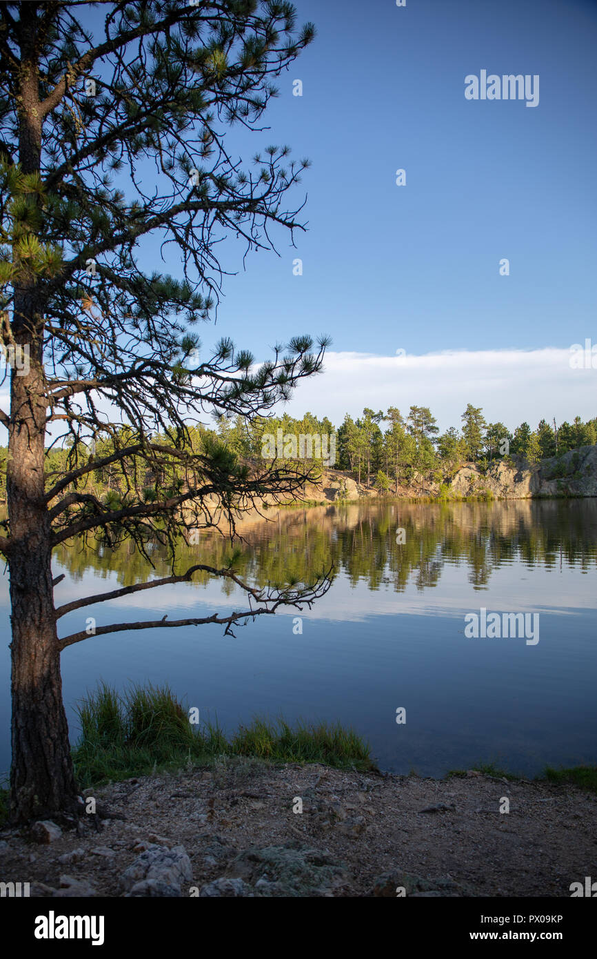 Legion Lake at Custer State Park South Dakota with beautiful ...