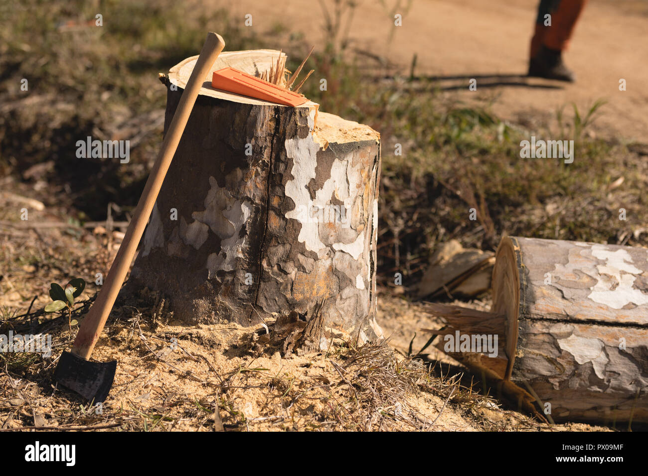 Axe in tree stump hi-res stock photography and images - Alamy