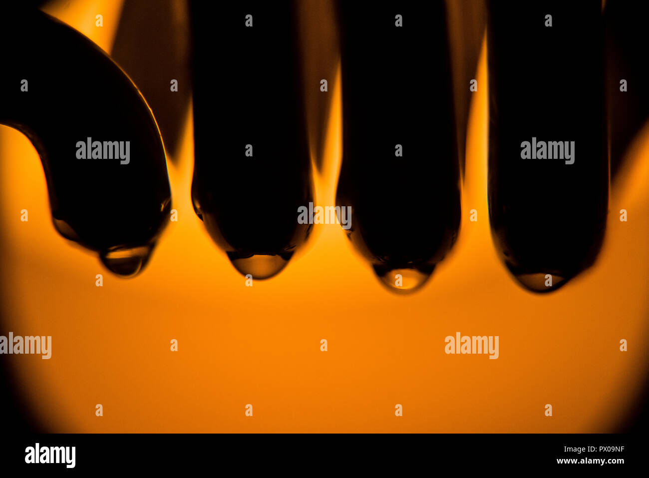 Macro Water Drops, The Beauty of Macro Photography on Everyday Objects ...