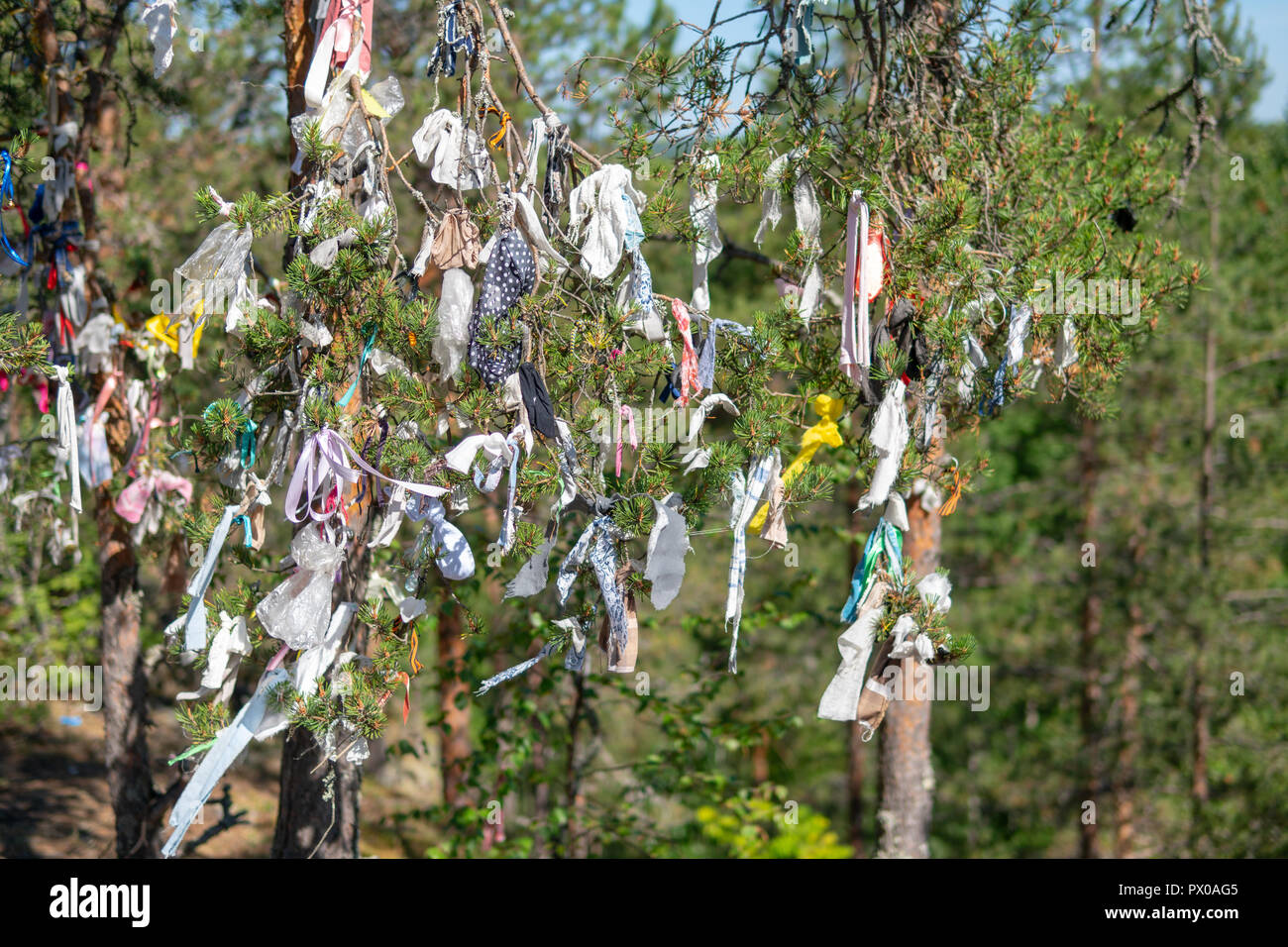 Ritual rags on the ritual tree Stock Photo - Alamy