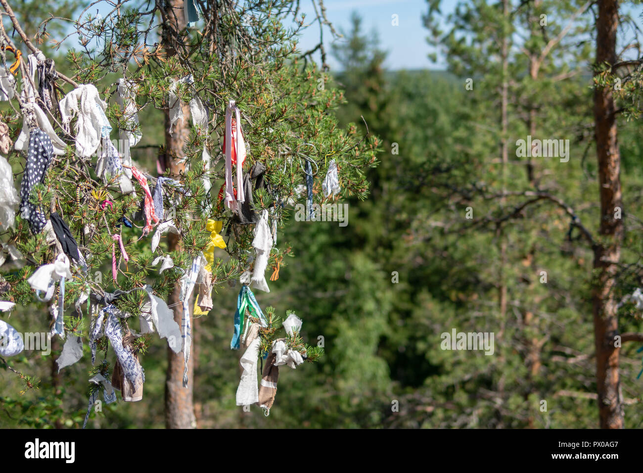 Cloth tied on tree hi-res stock photography and images - Alamy
