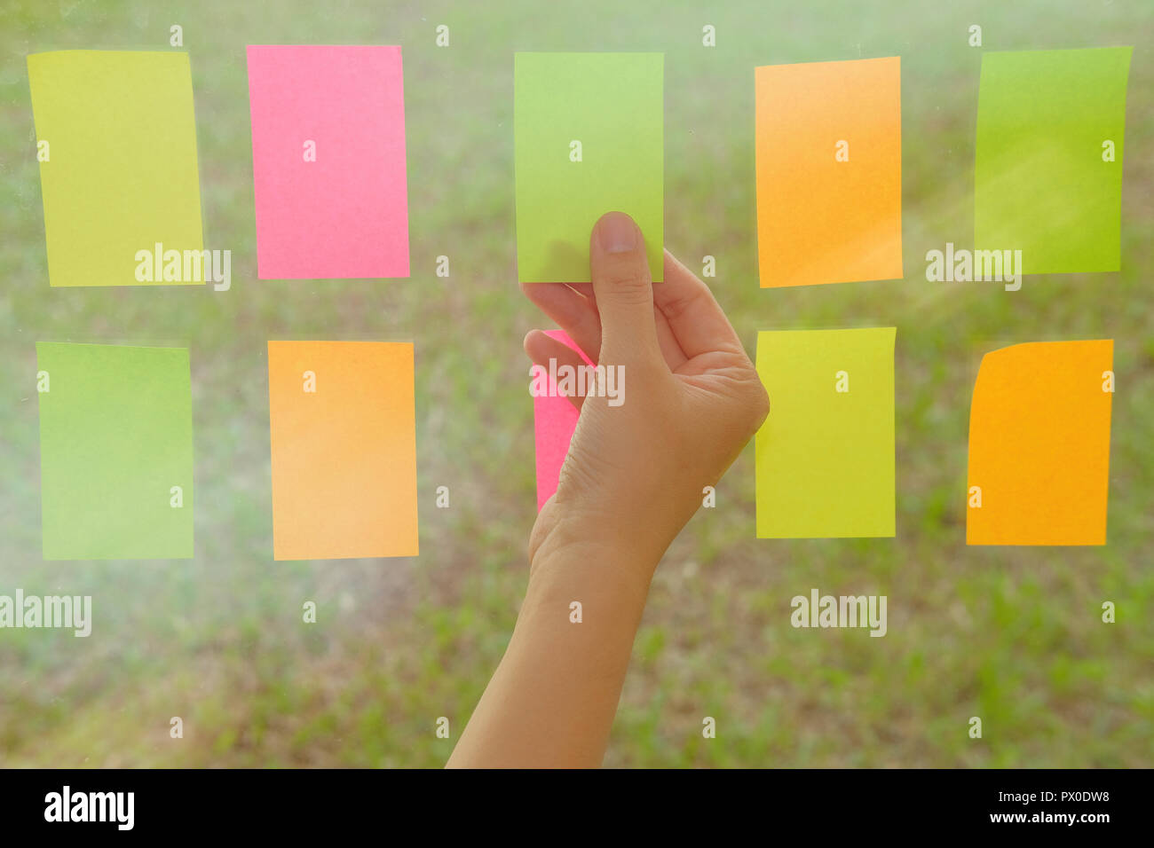 hand hold adhesive notes on glass wall at workplace. Sticky note paper ...