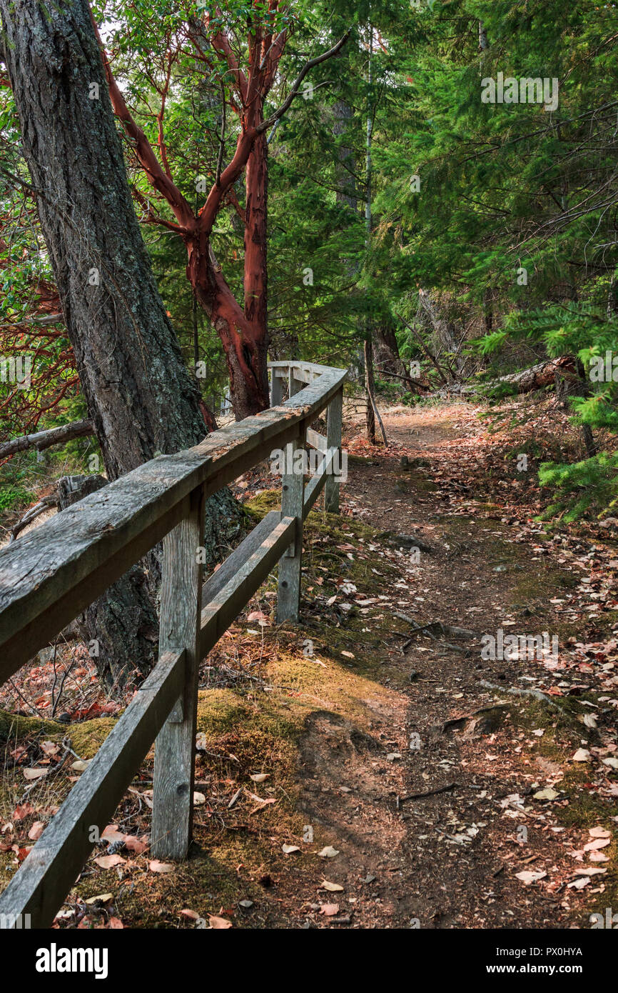 Pacific northwest trail wooden walkway hi-res stock photography and ...