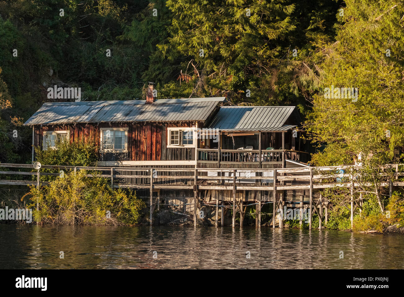 Boardwalk inside forest hi-res stock photography and images - Alamy
