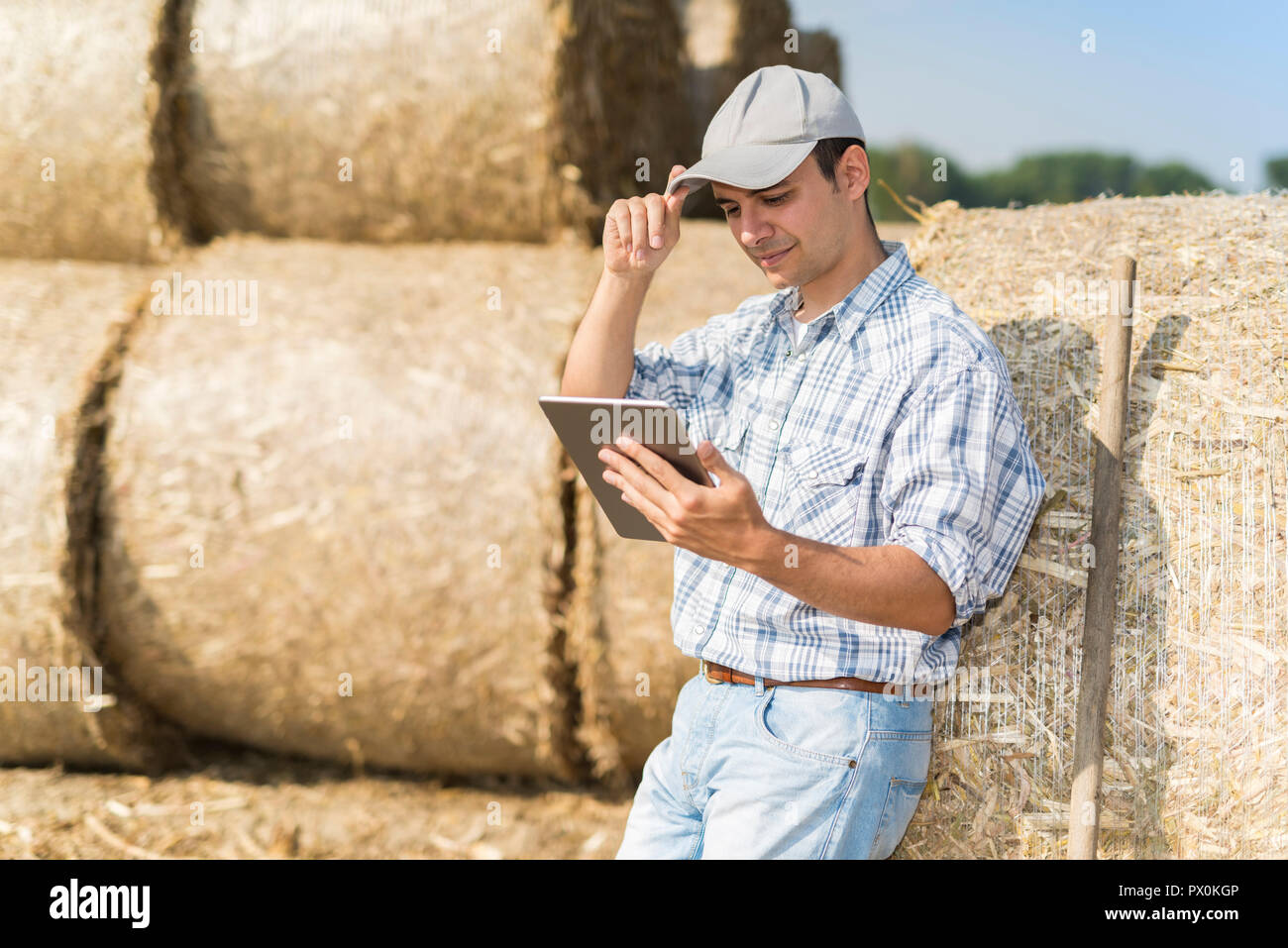 Modern farmer using his tablet Stock Photo - Alamy