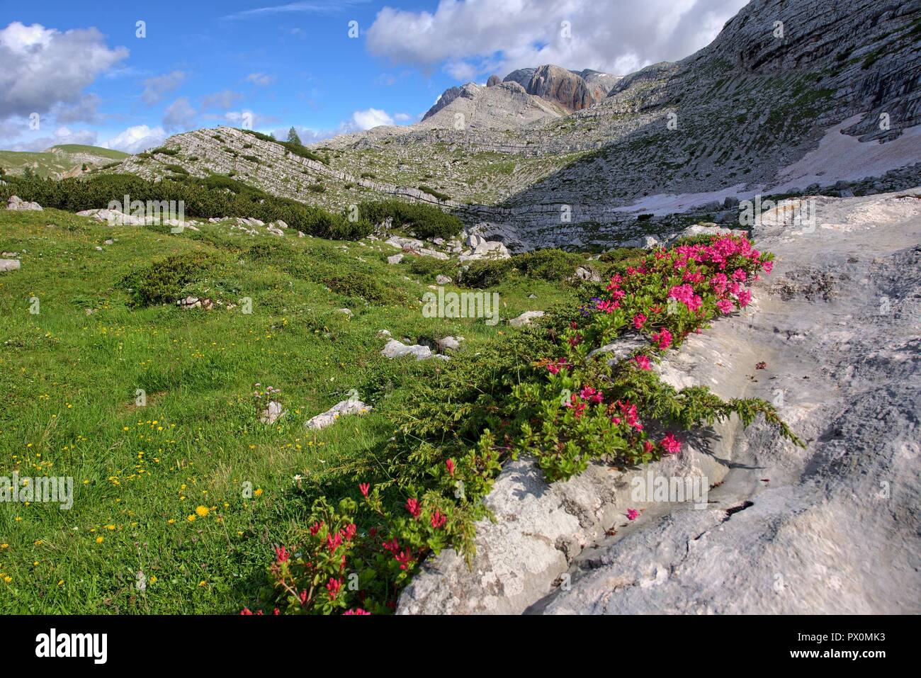 Italian alps landscape Stock Photo - Alamy