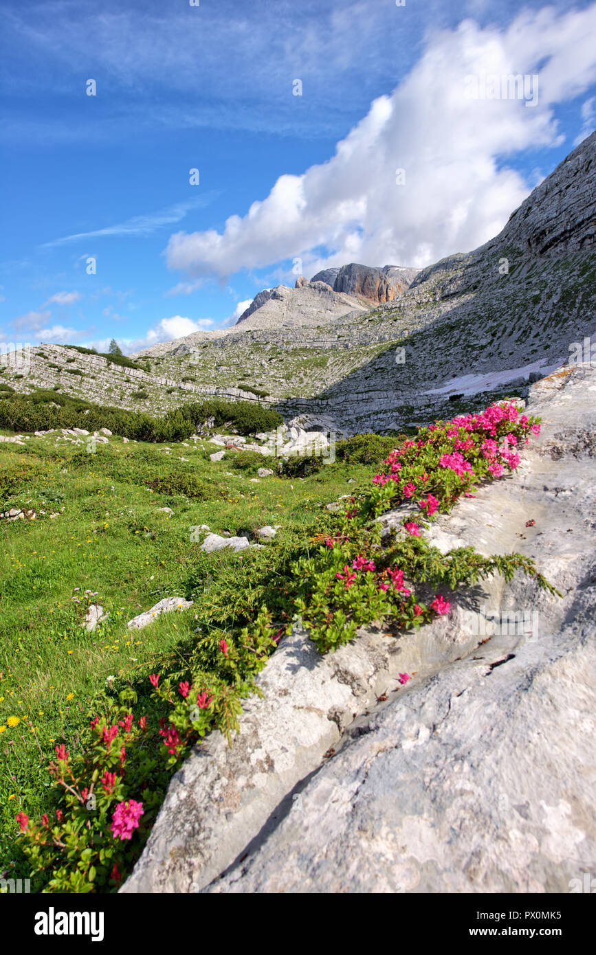 Italian alps landscape Stock Photo - Alamy