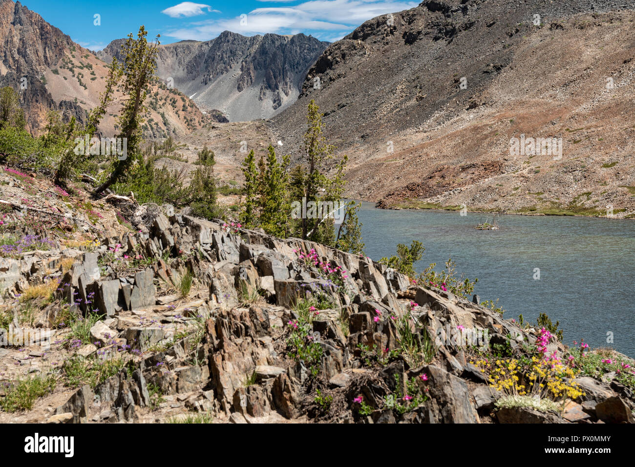 Beautiful view of the 20 Lakes Basin in Californias Eastern Sierra ...