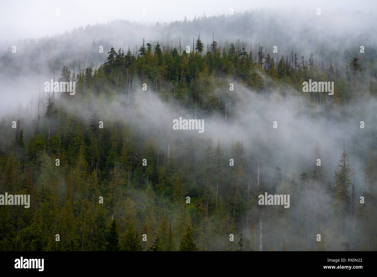 Rising rainforest mist hi-res stock photography and images - Alamy