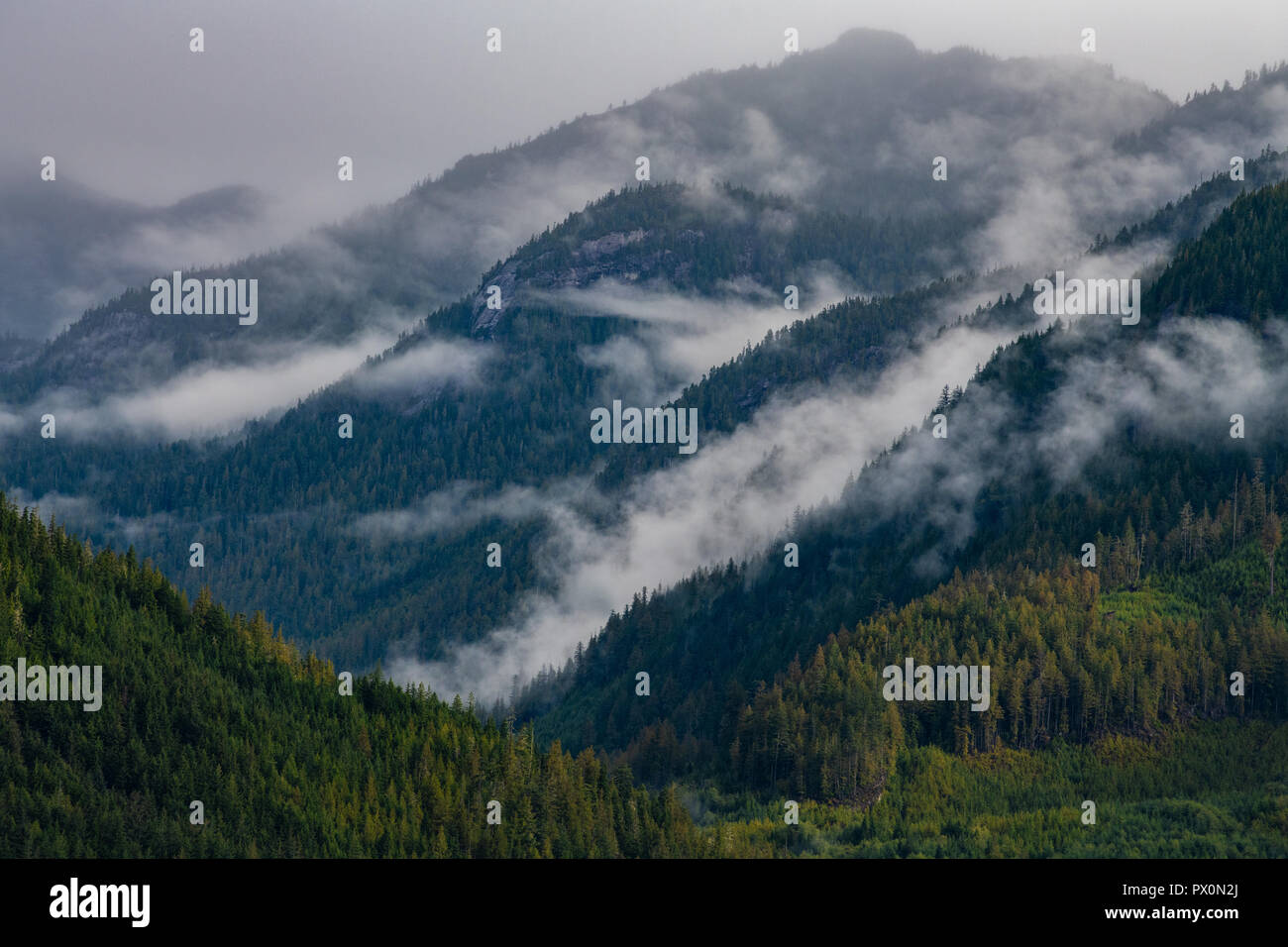 Rising rainforest mist hi-res stock photography and images - Alamy