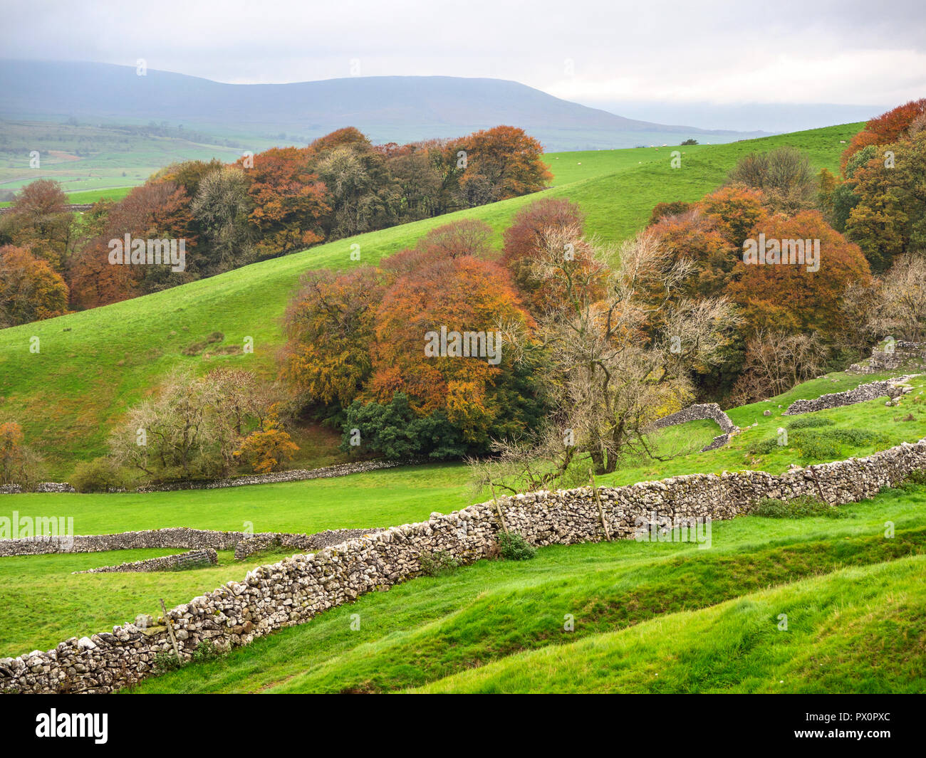 Autumn in the yorkshire dales hi-res stock photography and images - Alamy