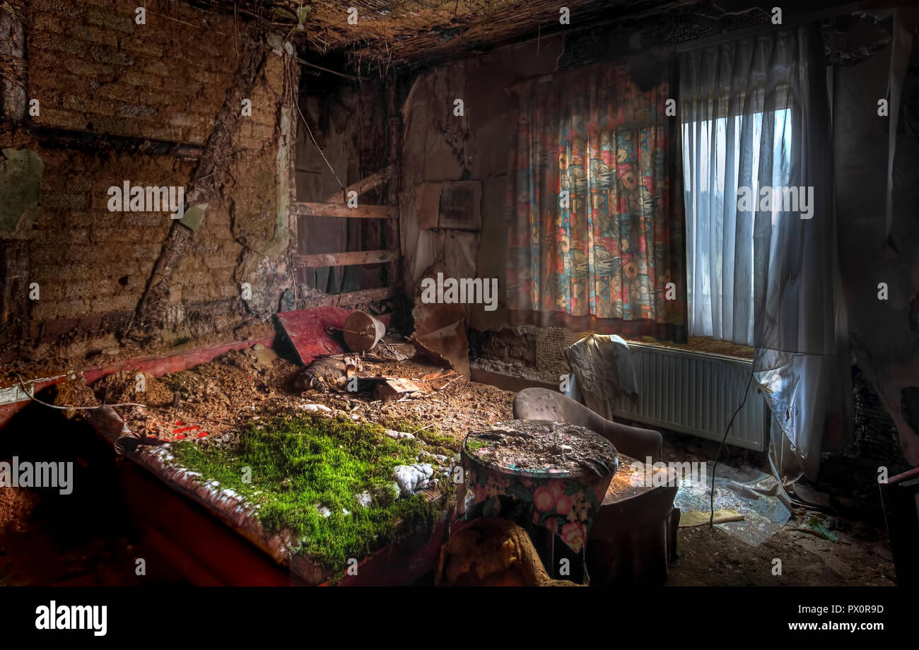 Interior view of room with a bed covered in moss in an abandoned hotel ...