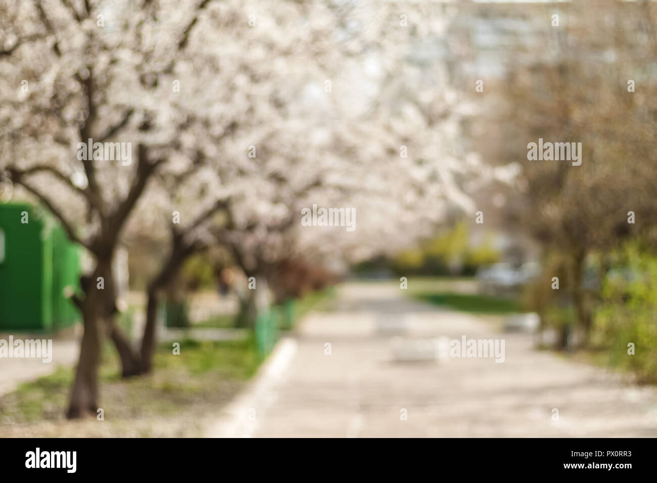 Spring blurry city. Defocused cityscape background. Blurry blossom ...