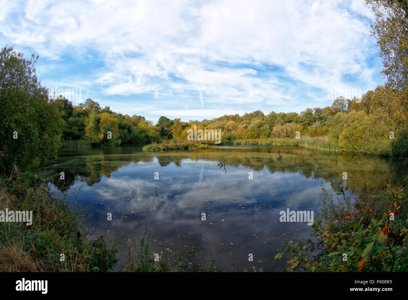 Adel dam nature reserve Leeds on a beautiful autumn afternoon Stock ...