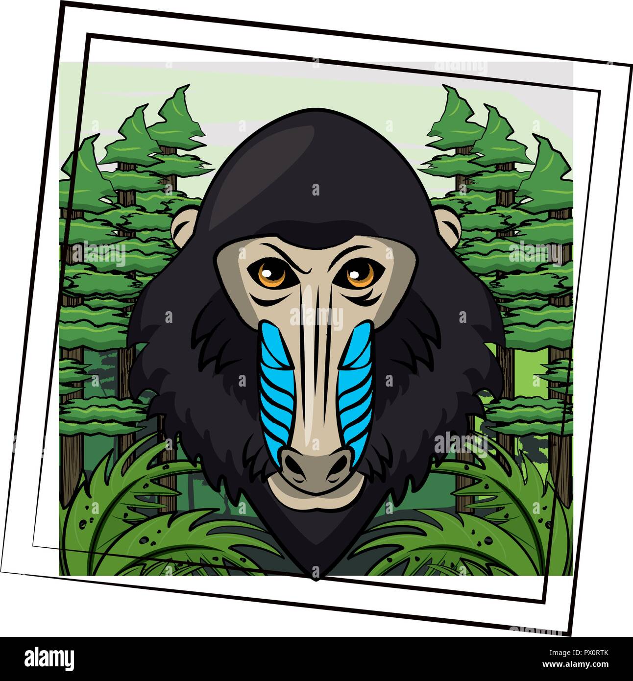 Mandrill face cool sketch Stock Vector Image & Art - Alamy