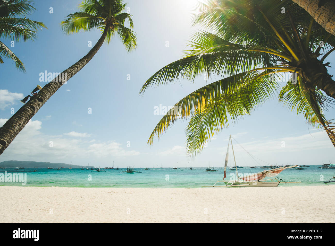 Perfect white sand beach in Boracay, Philippines. Coconut Palm trees ...