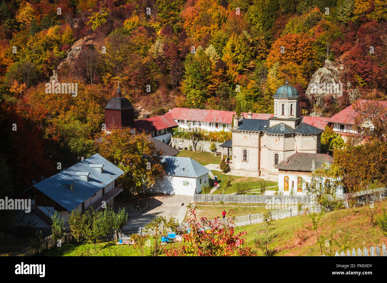 Romania cozia national park hi-res stock photography and images - Alamy