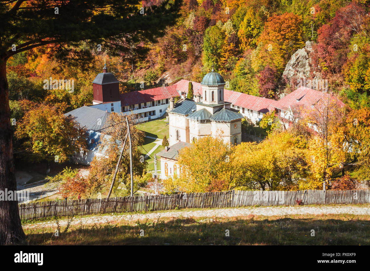 Romania cozia national park hi-res stock photography and images - Alamy