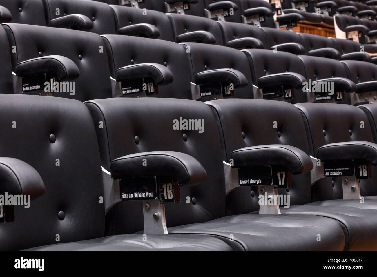Rows of seating in the restored Purcell Room at the Queen Elizabeth ...