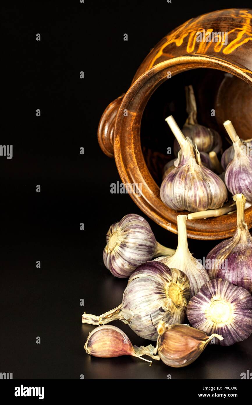 Open garlic on black background table. Whole and split fresh garlic on ...