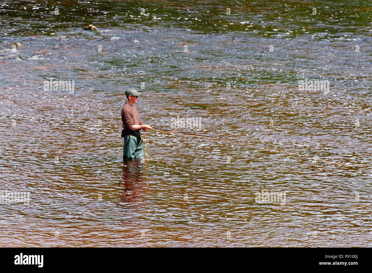 A fisherman wearing waders stands in the River Wharfe at Tadcaster ...