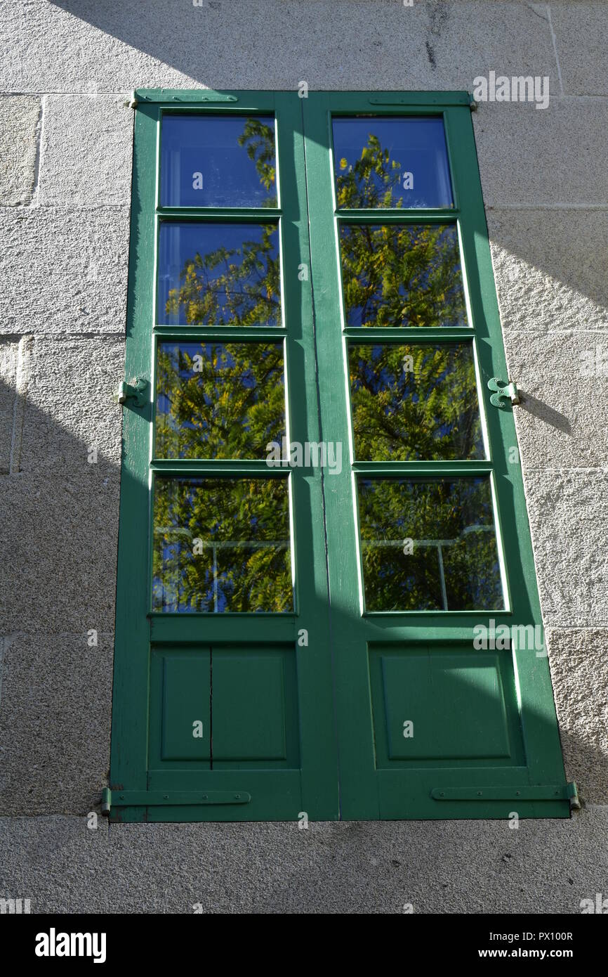 Green window with tree reflection. Urban and nature background. Tree ...