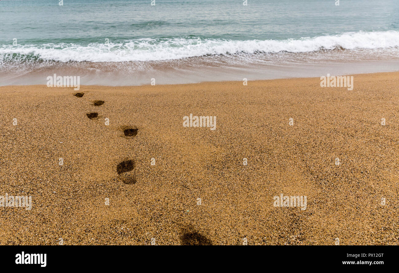 footsteps on the sand heading to the sea with a gray sky background ...
