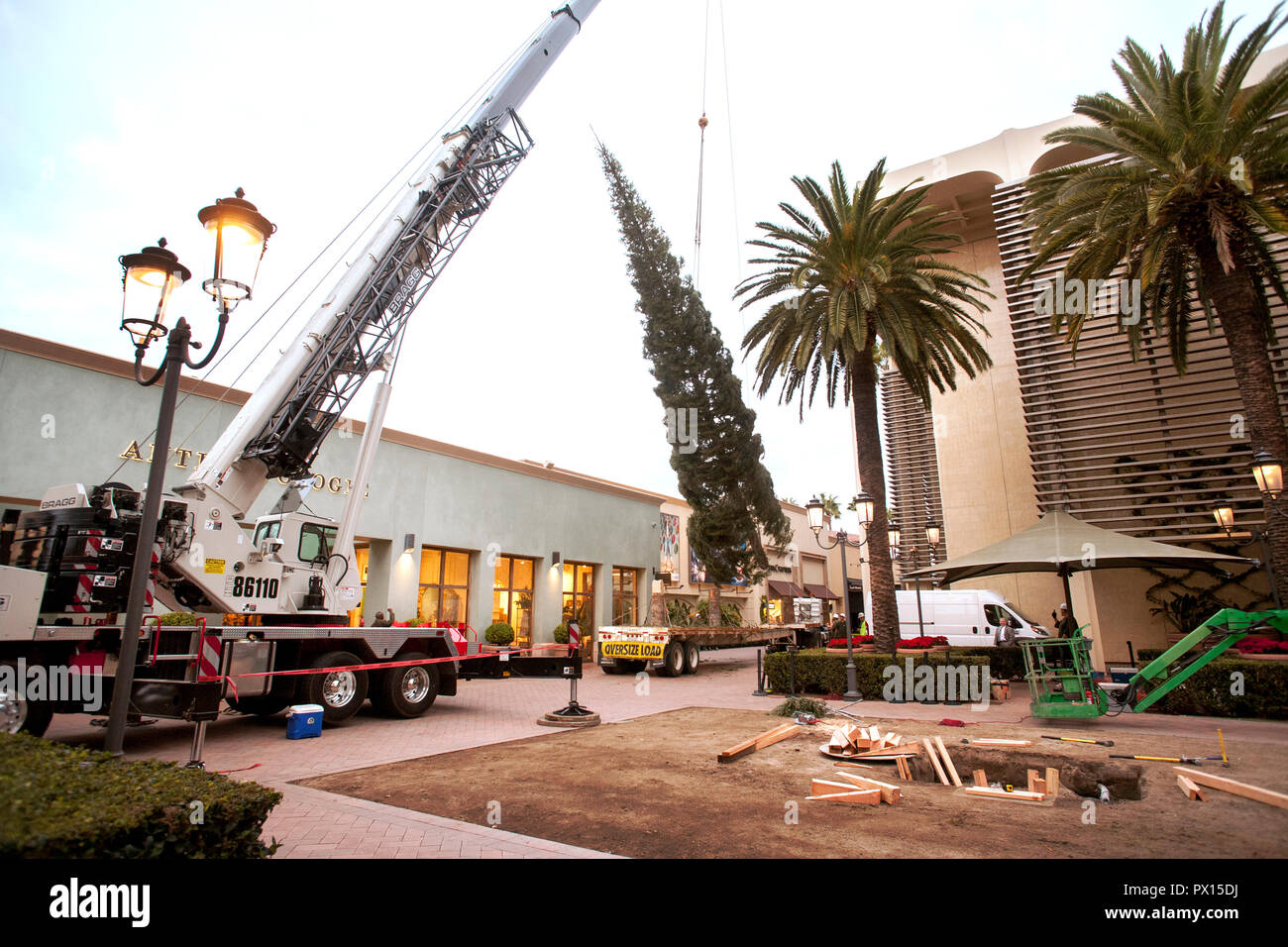 A crane begins to lift the Christmas tree. Note foundation at right ...