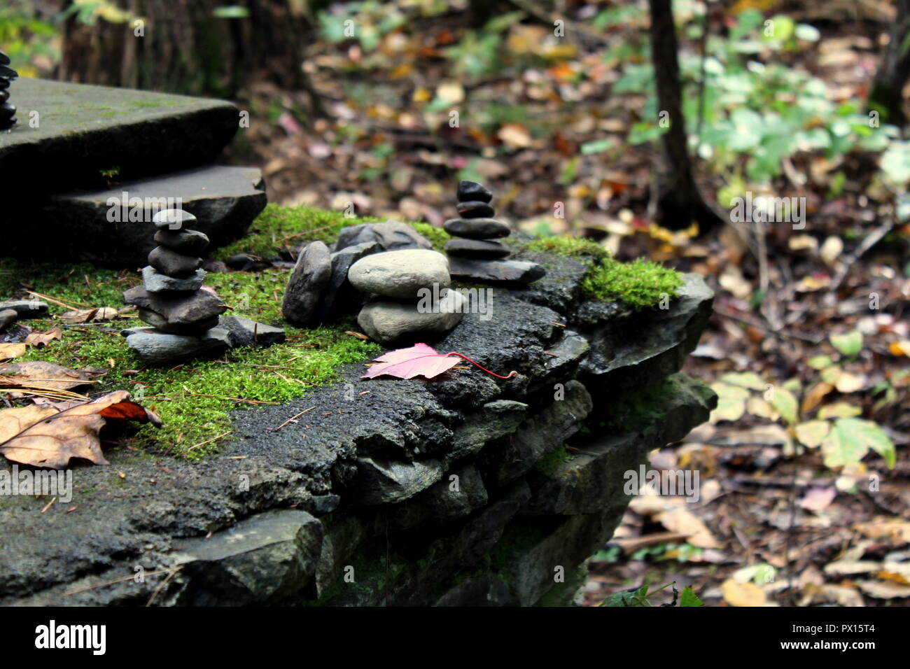 Mini rock towers built along the fall leaves Stock Photo - Alamy