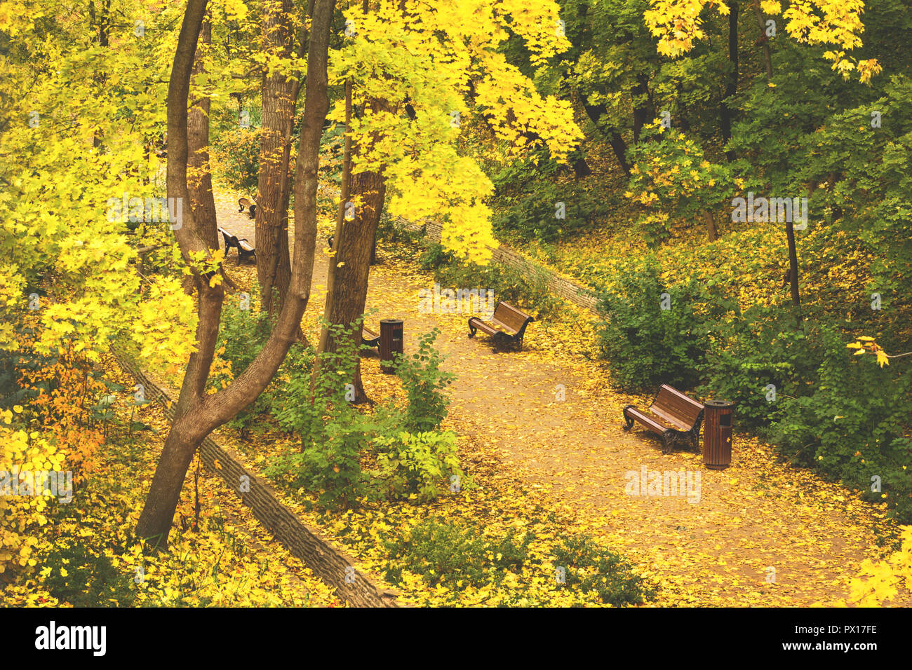 Autumn in the city Park, trees in yellow foliage Stock Photo - Alamy