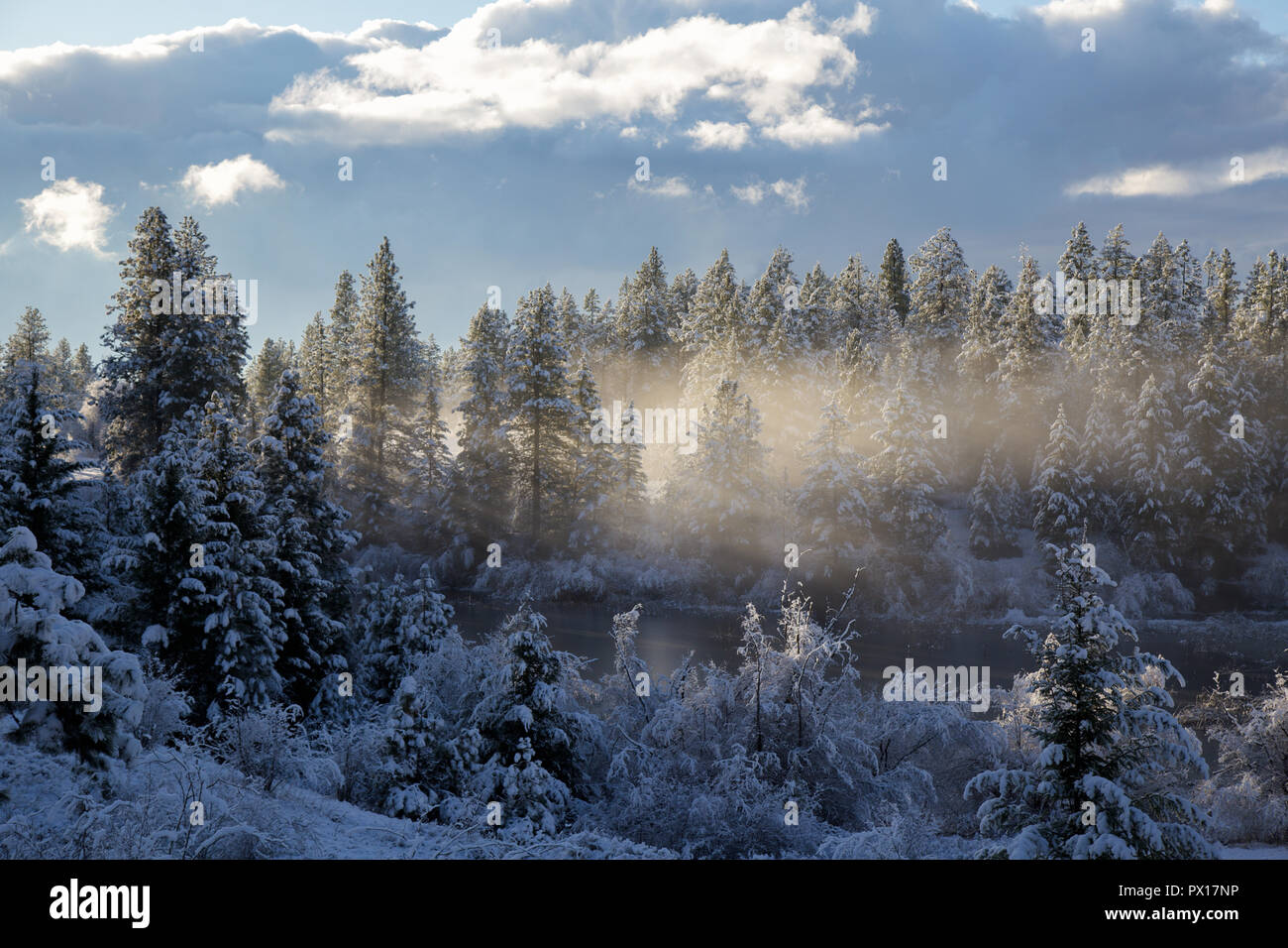Snowy cold winter day with morning sun rays filtering through snow ...