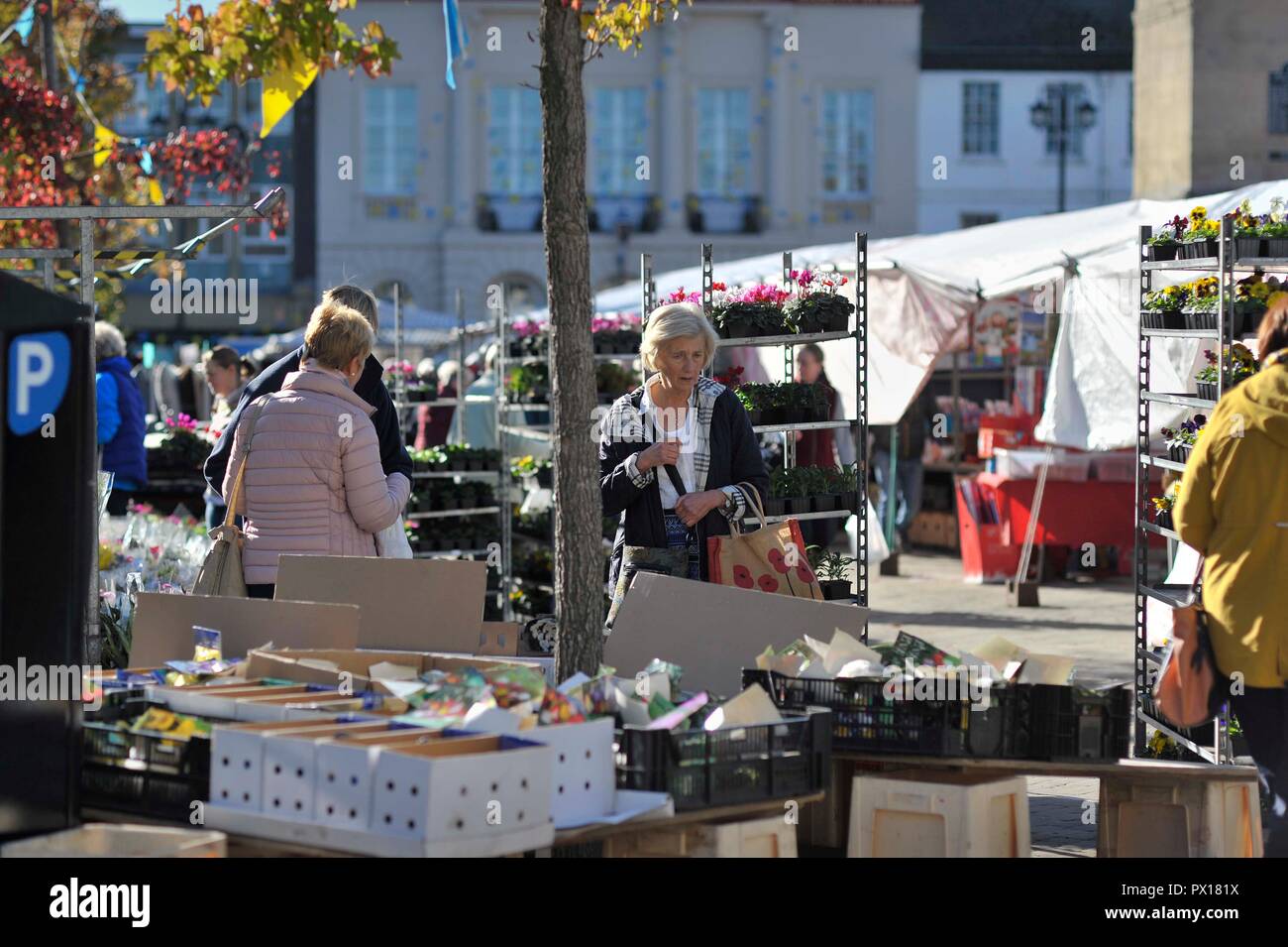 Lady ripon hi-res stock photography and images - Alamy