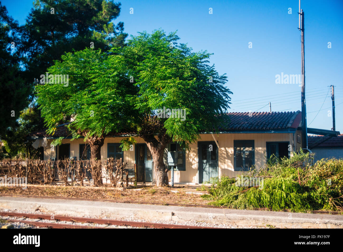 Trees with Vivid Colors, Athens Greece Stock Photo - Alamy