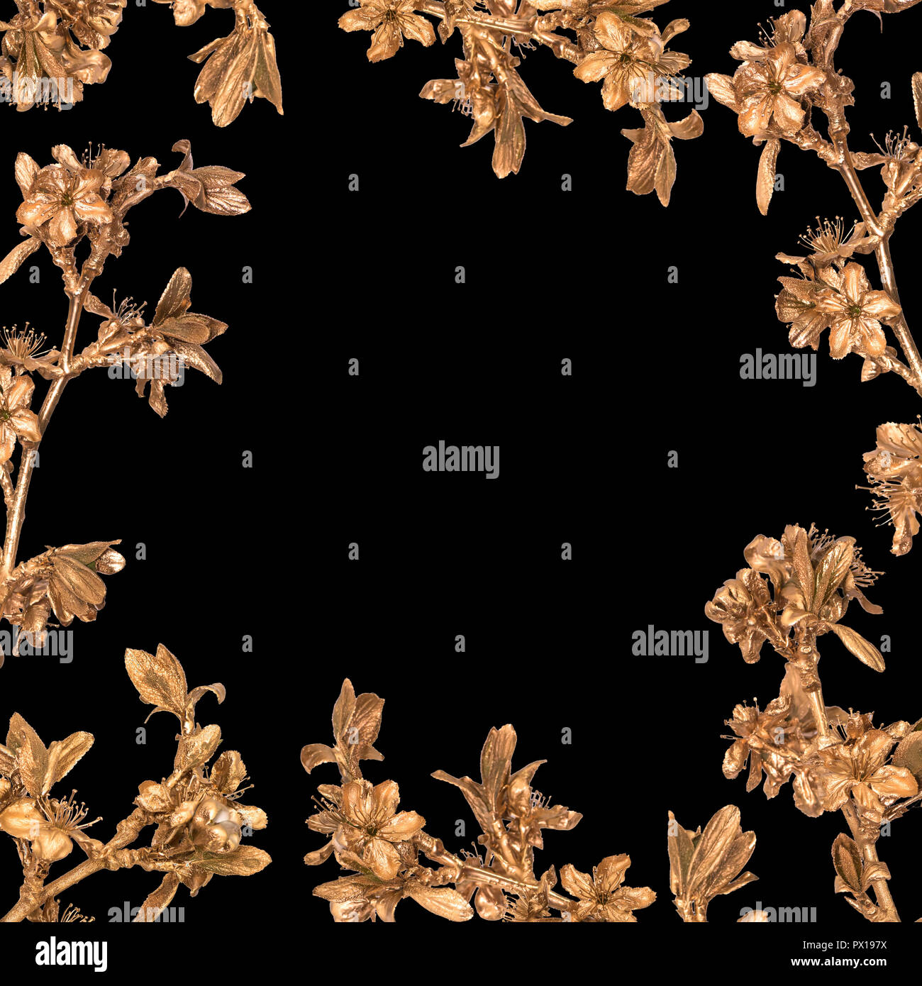 Floral frame made of golden sakura branches on black background. Hand ...