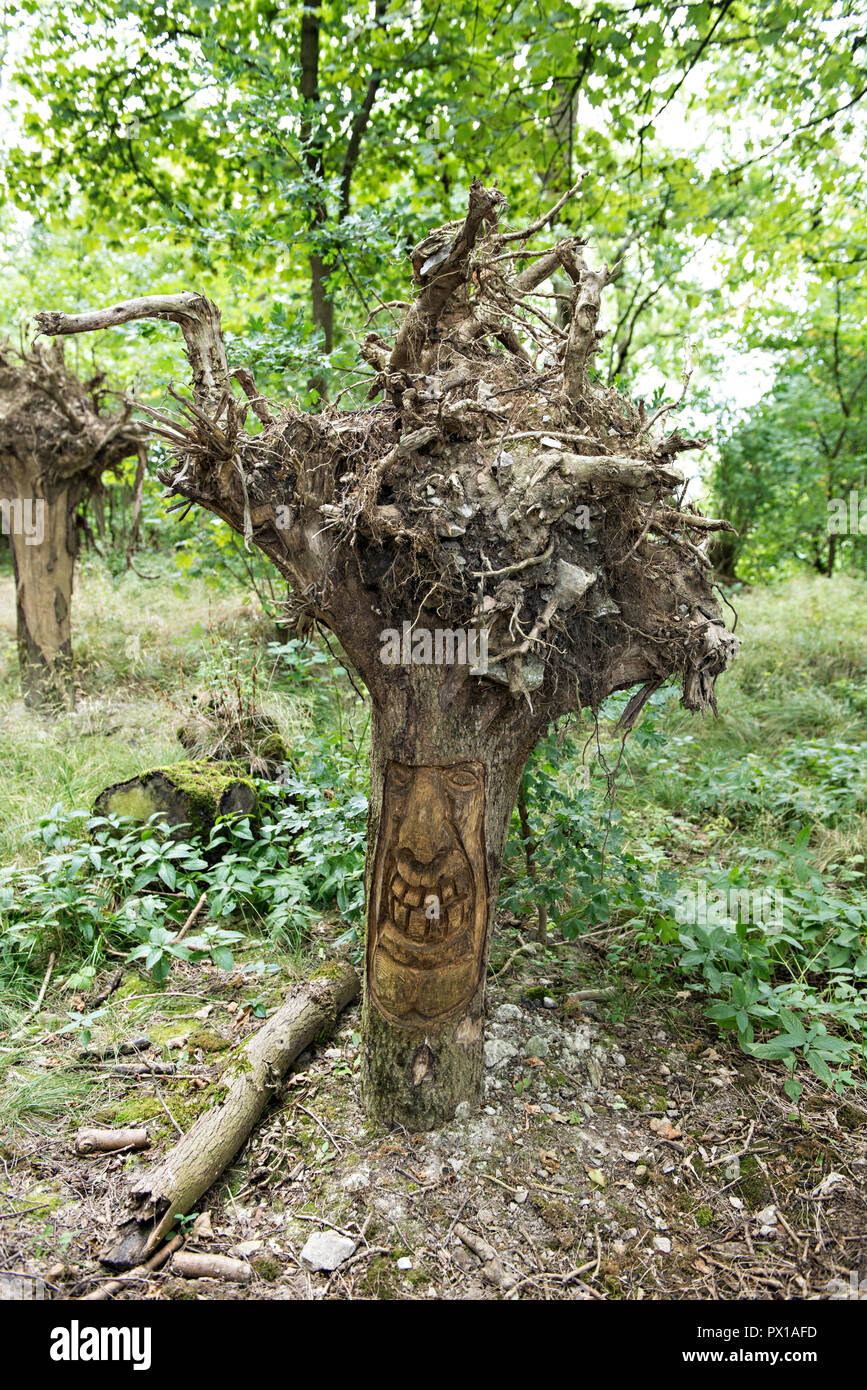 Trees planted upside down carvings along the country walk at Crich ...